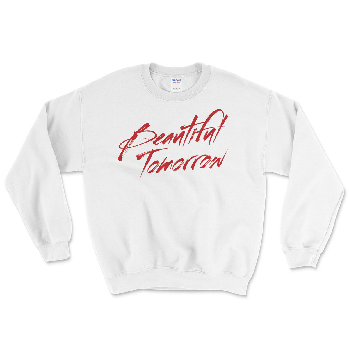 Store – Beautiful Tomorrow Assembly